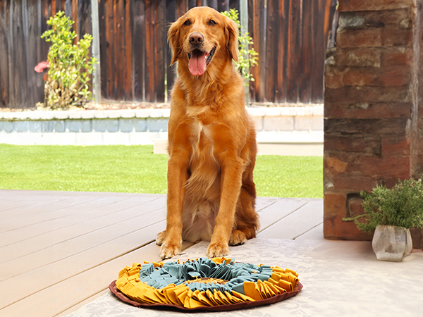 Injoya Cookie Snuffle Mat